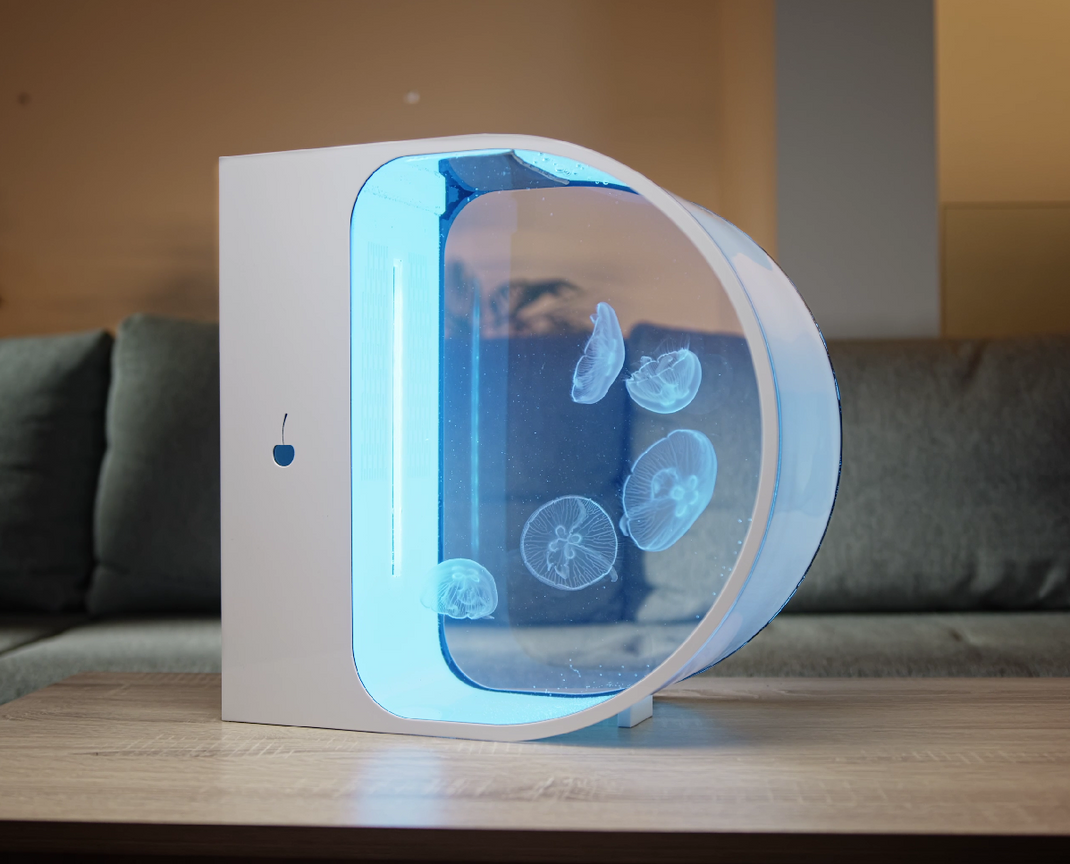 Alpha22 Jellyfish Aquarium starter kit Pet Jellyfish At Home ...