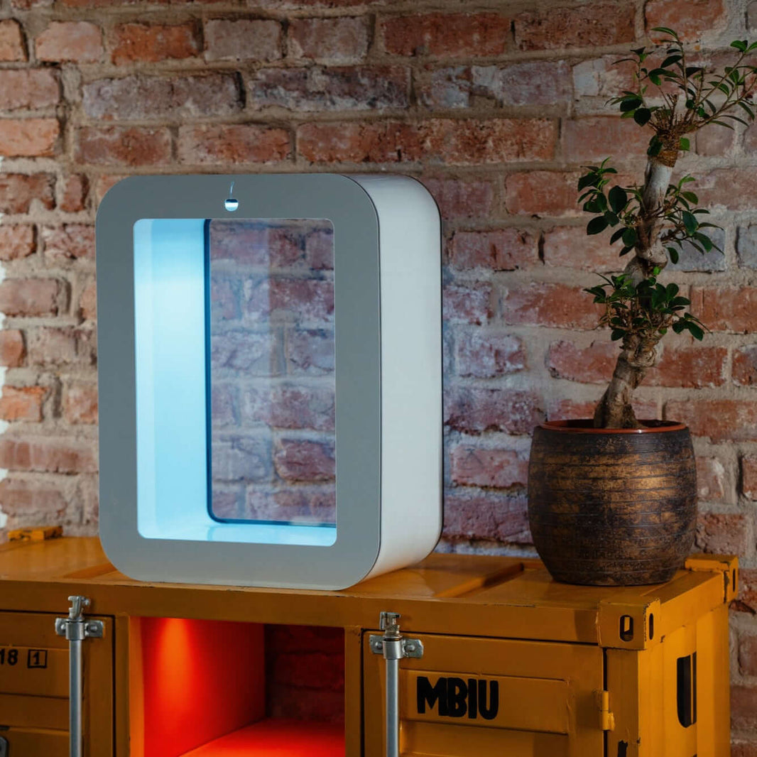 Pet Jellyfish USA Pet Jellyfish At Home Jellyfish Aquariums