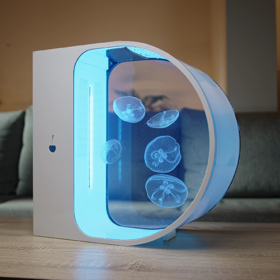 Alpha22 Jellyfish Aquarium starter kit Pet Jellyfish At Home ...