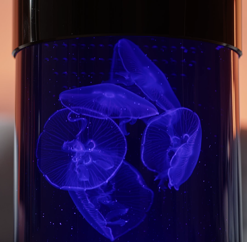 C8 Nano Jellyfish Aquarium starter kit Pet Jellyfish At Home ...