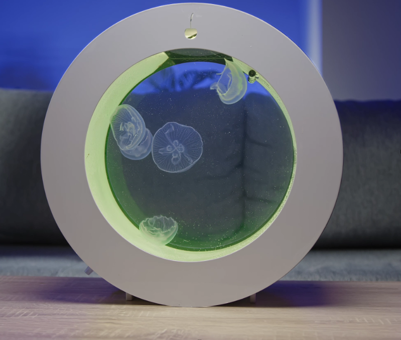 O16 Jellyfish Aquarium starter kit – PetJellyfishUS